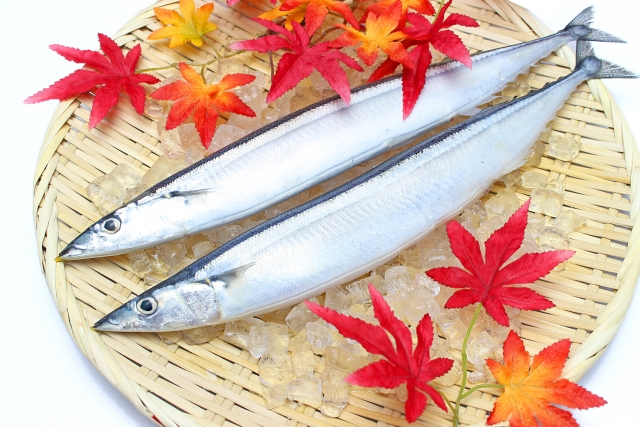 To Eat Fish, or Not To Eat Fish: That is the Question | The Ikigai Diet