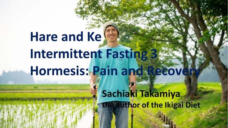 Hare and Ke Intermittent Fasting 3: Hormesis: Pain and Recovery | The ...