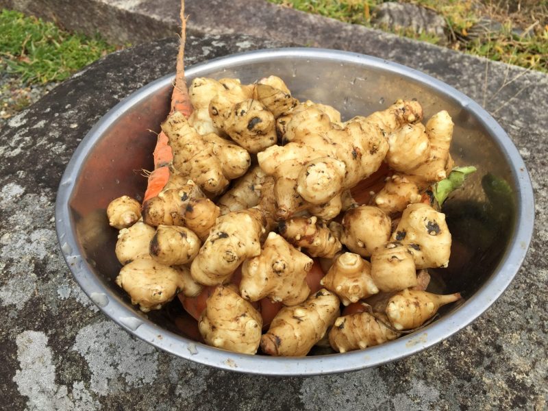 I Tried Doing 48 Hours Fast | The Ikigai Diet