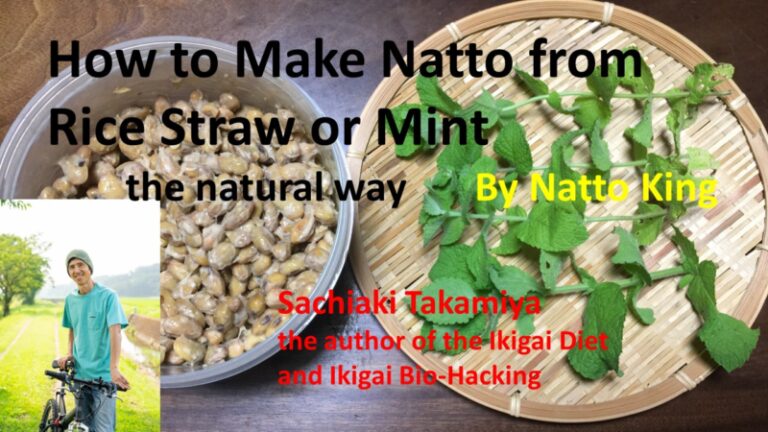 Homemade Natto, the Natural Way, by Natto King | The Ikigai Diet