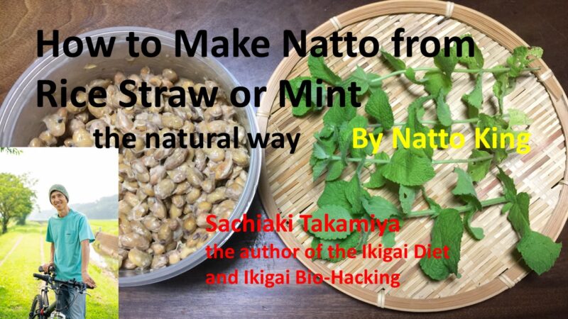 Homemade Natto, the Natural Way, by Natto King | The Ikigai Diet
