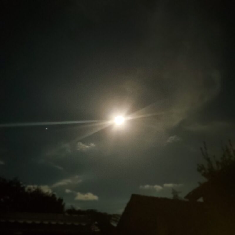 Jugoya: Full Moon Viewing and Ima Iwai | The Ikigai Diet
