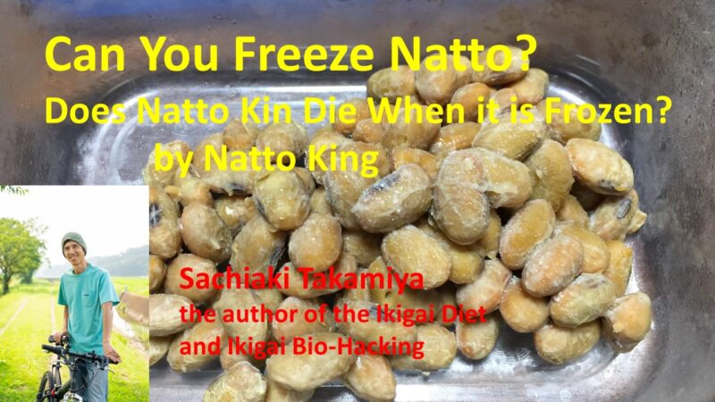 Can You Freeze Natto? Does Nattokin Diet When it is Frozen? by Natto ...