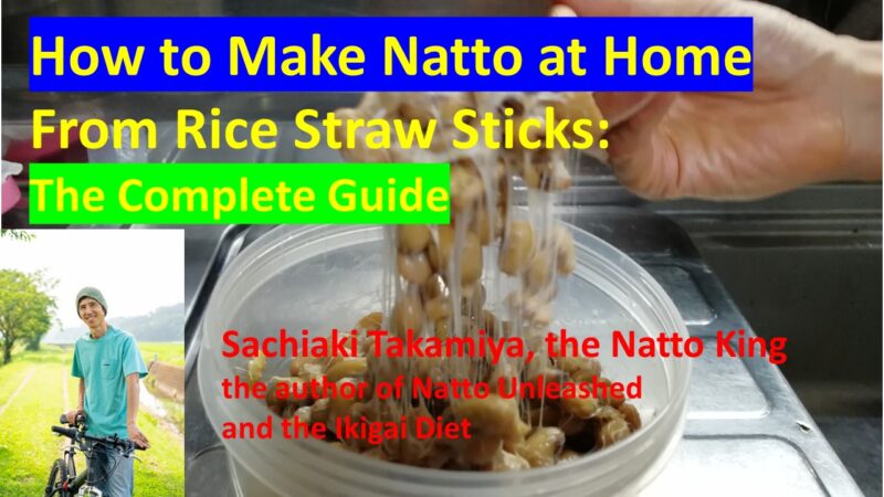 How to Make Natto at Home: The Complete Guide | The Ikigai Diet